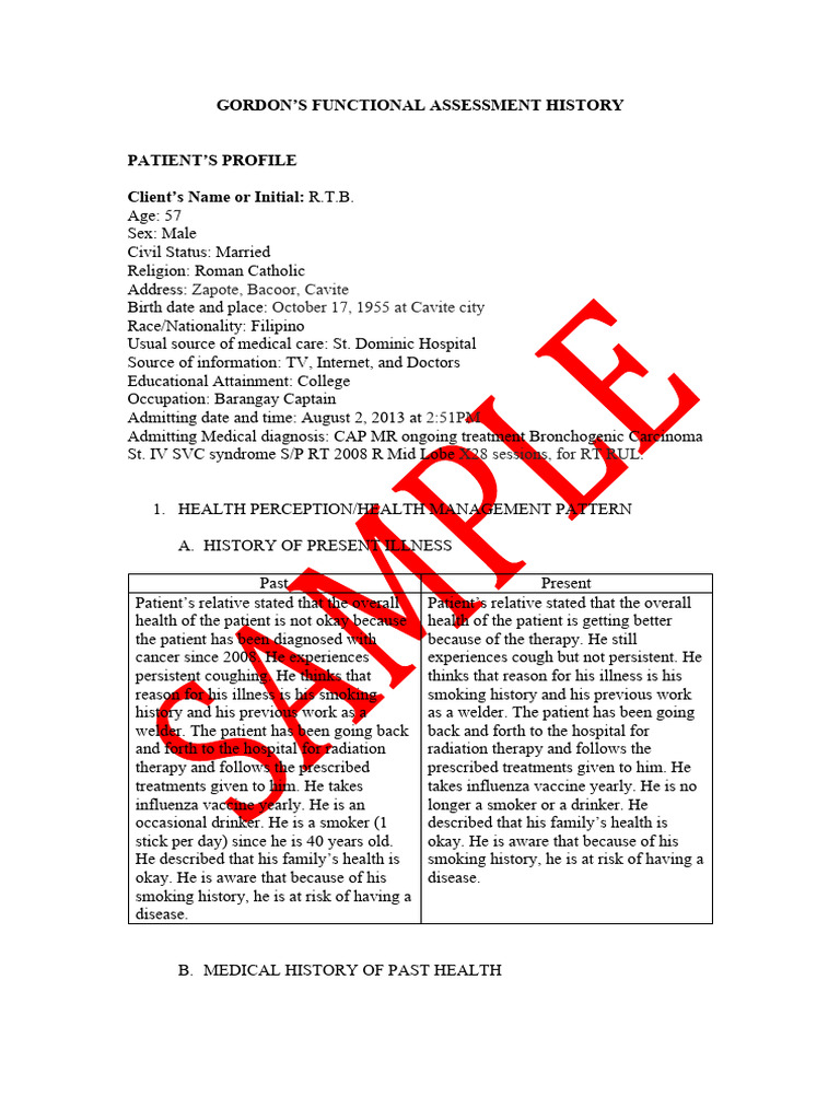 SAMPLE-GORDONS-FUNCTIONAL-ASSESSMENT-HISTORY | PDF