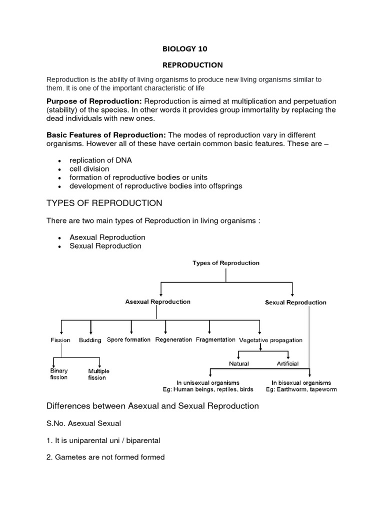 Sexual Reproduction Notes | PDF