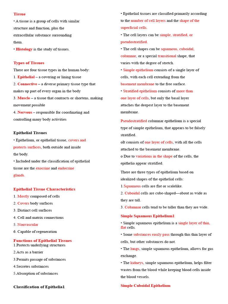 Tissue Reviewer | PDF | Epithelium | Connective Tissue
