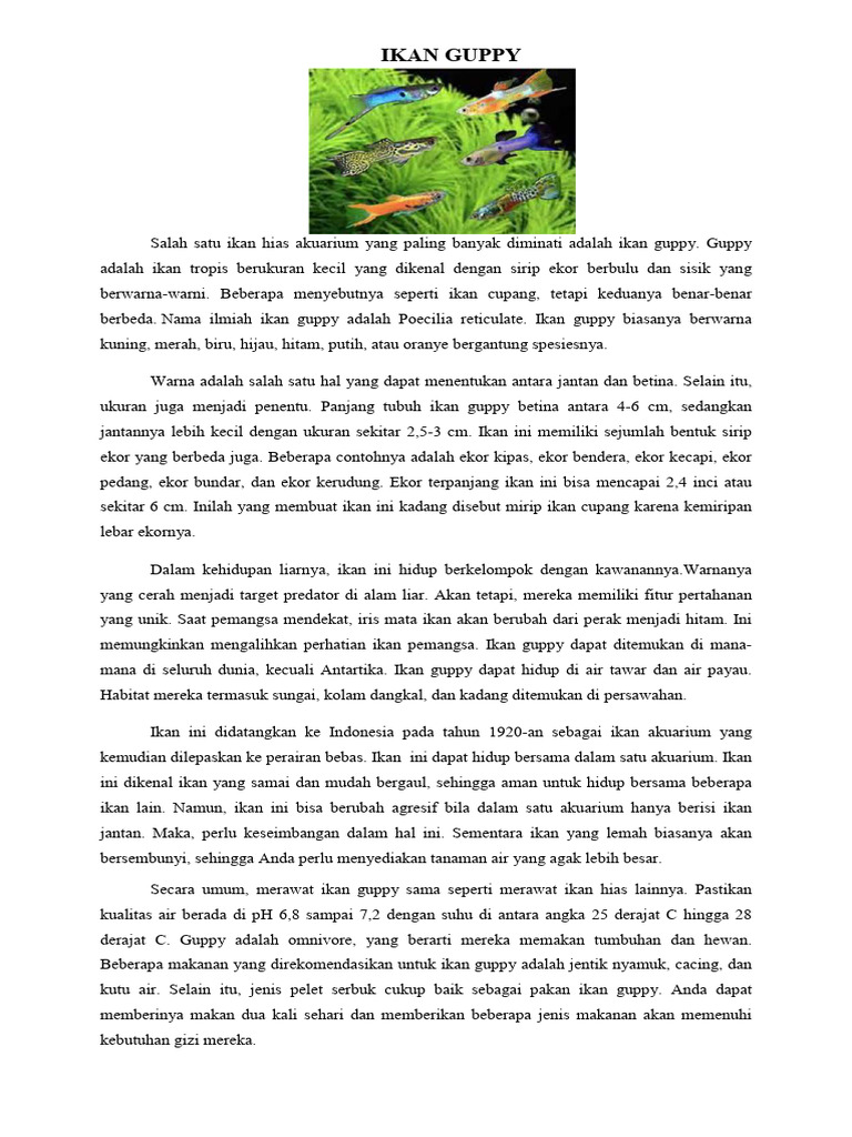 Ikan Guppy | PDF | Griya & Taman | Sains & Matematika