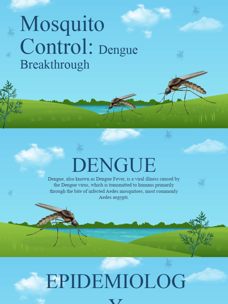 DENGUE | PDF | Virology | Animal Viral Diseases