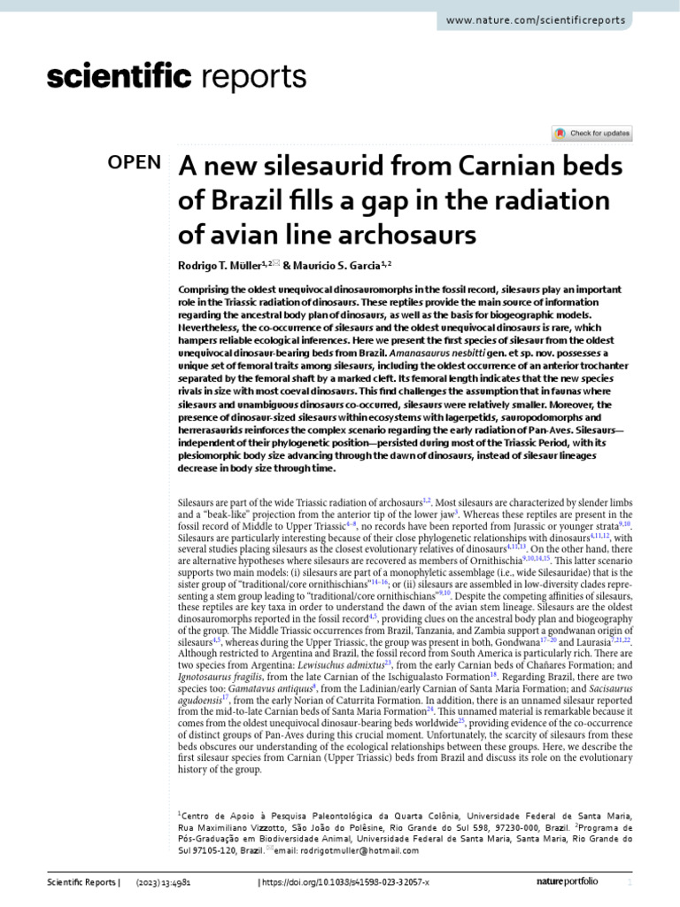 Müller & Garcia 2023 Amanasaurus | PDF | Dinosaurs