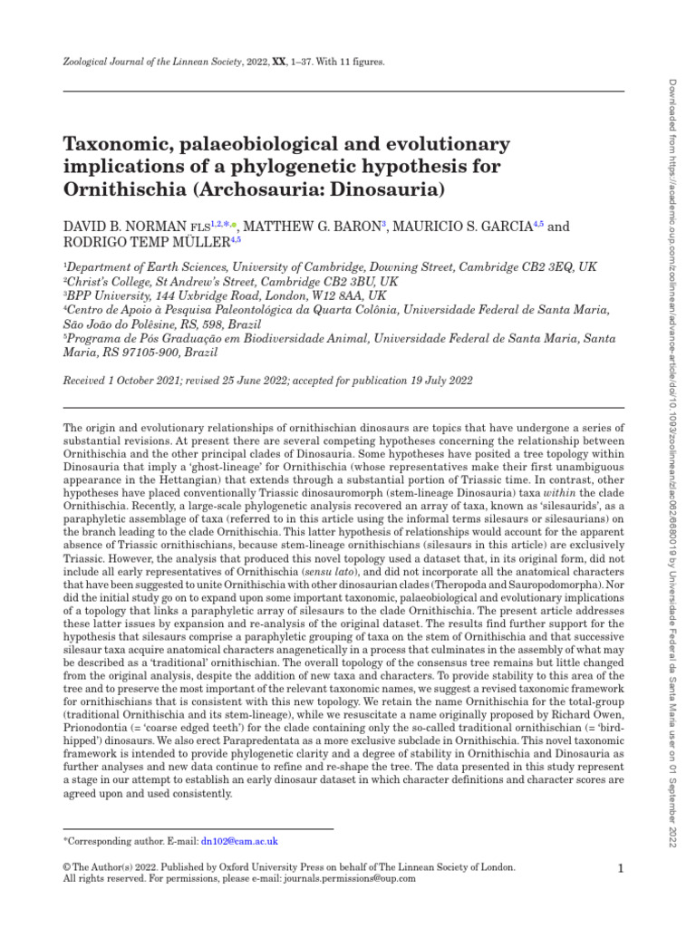 Ornithischia Phylogeny and Taxonomy Insights | PDF | Dinosaurs ...