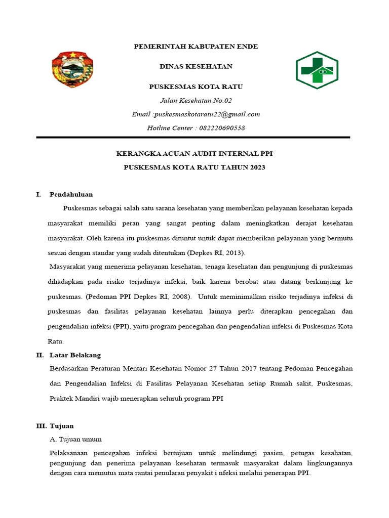 Kak Audit Ppi | PDF
