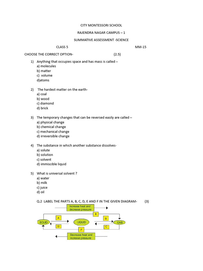 CMS Class 5 Science Assessment Paper | PDF | Science & Mathematics
