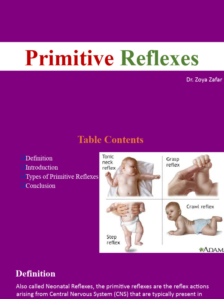 Primitive-Reflexes, Neonatal Reflexes - Pediatric Physical Therapy | Download Free PDF | Medical ...