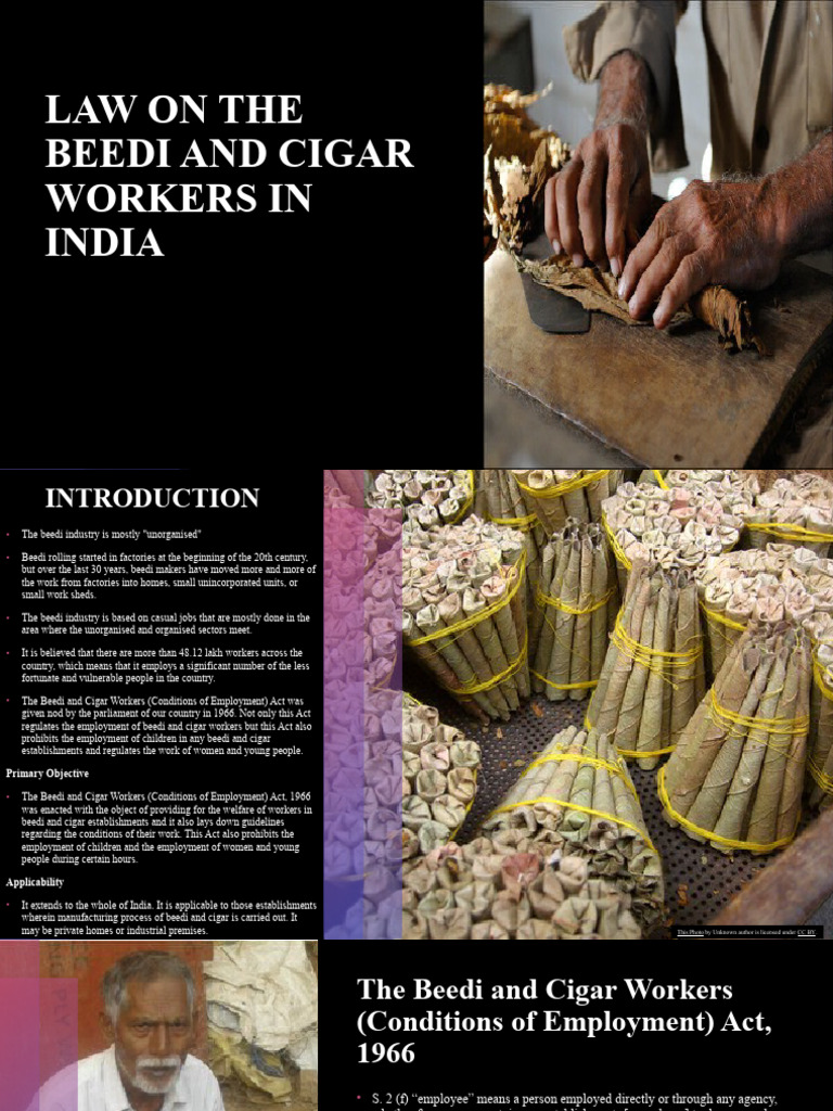 Law On The Beedi and Cigar Workers in India 2 | PDF | Employment ...