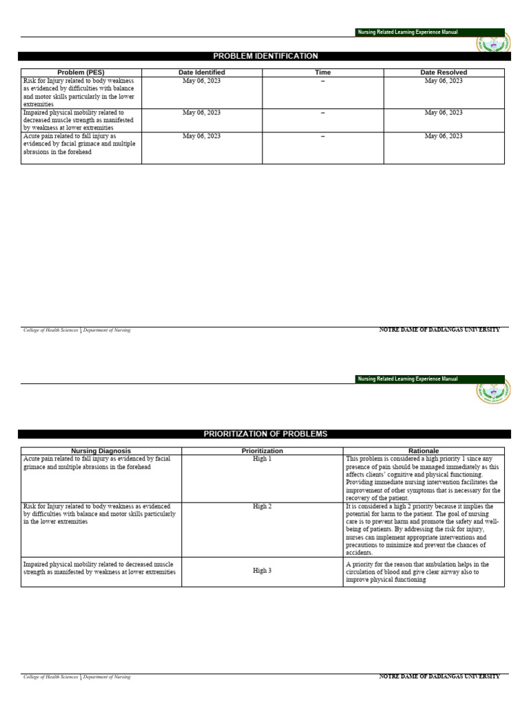 2 Gordons NCP Diagnostic Examination Lesson Plan Format | PDF