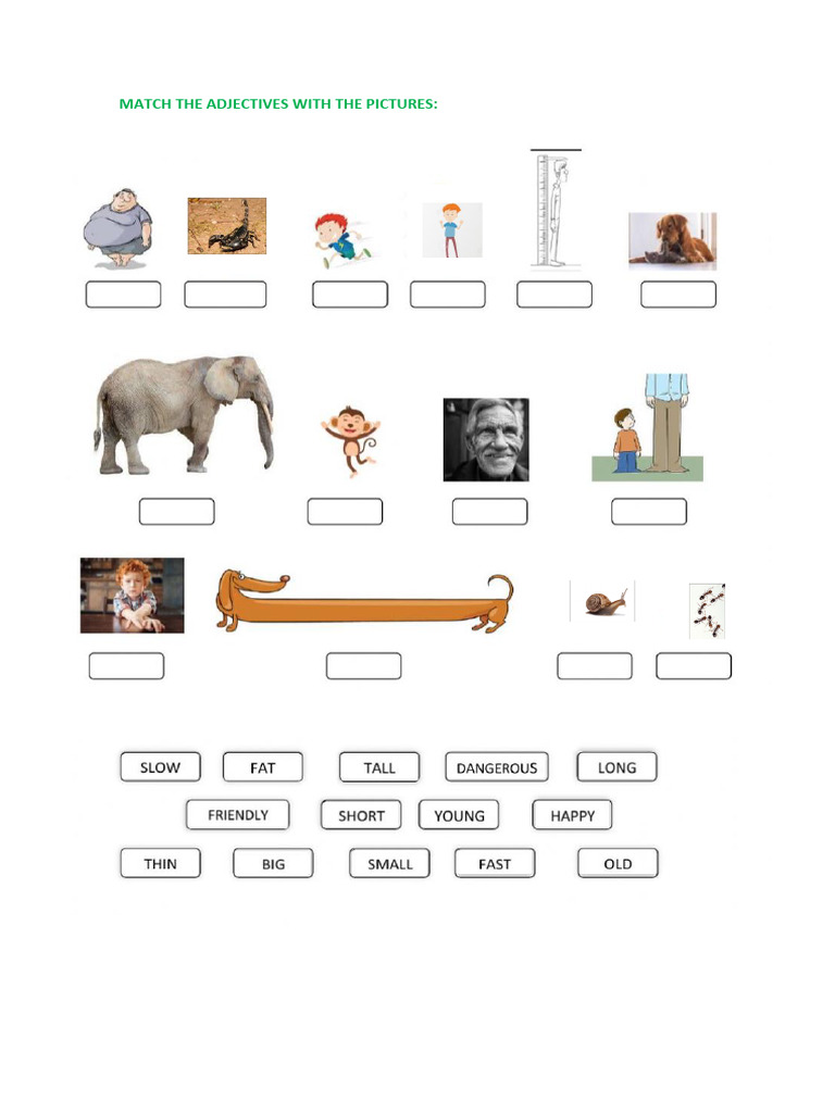 Match The Adjectives With The Pictures | PDF