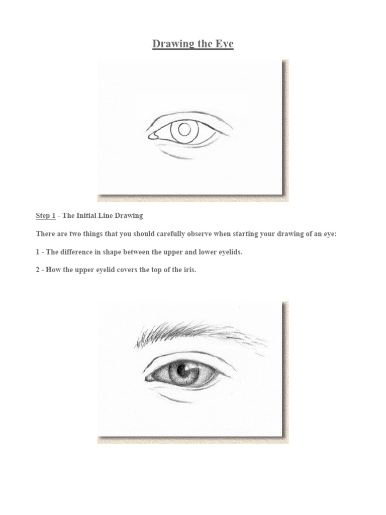 Facial Features Booklet | PDF | Drawing | Lip