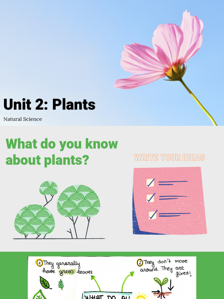 Unit 2: Plants: Natural Science | PDF | Home & Garden | Science ...