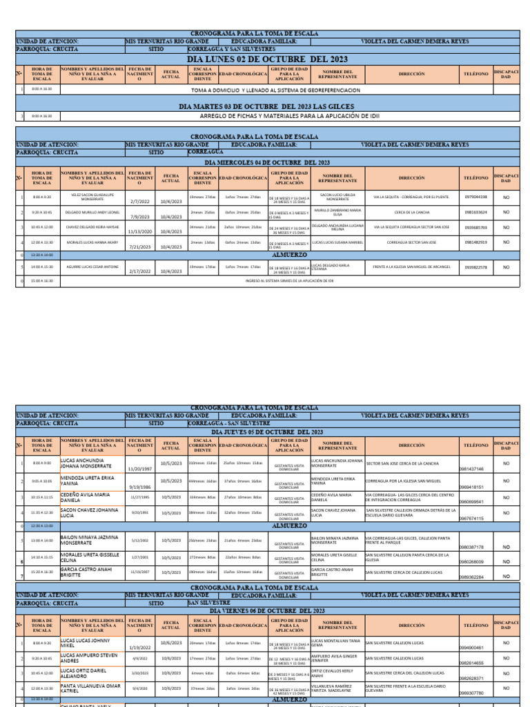 Cronograma Idii Violeta | PDF