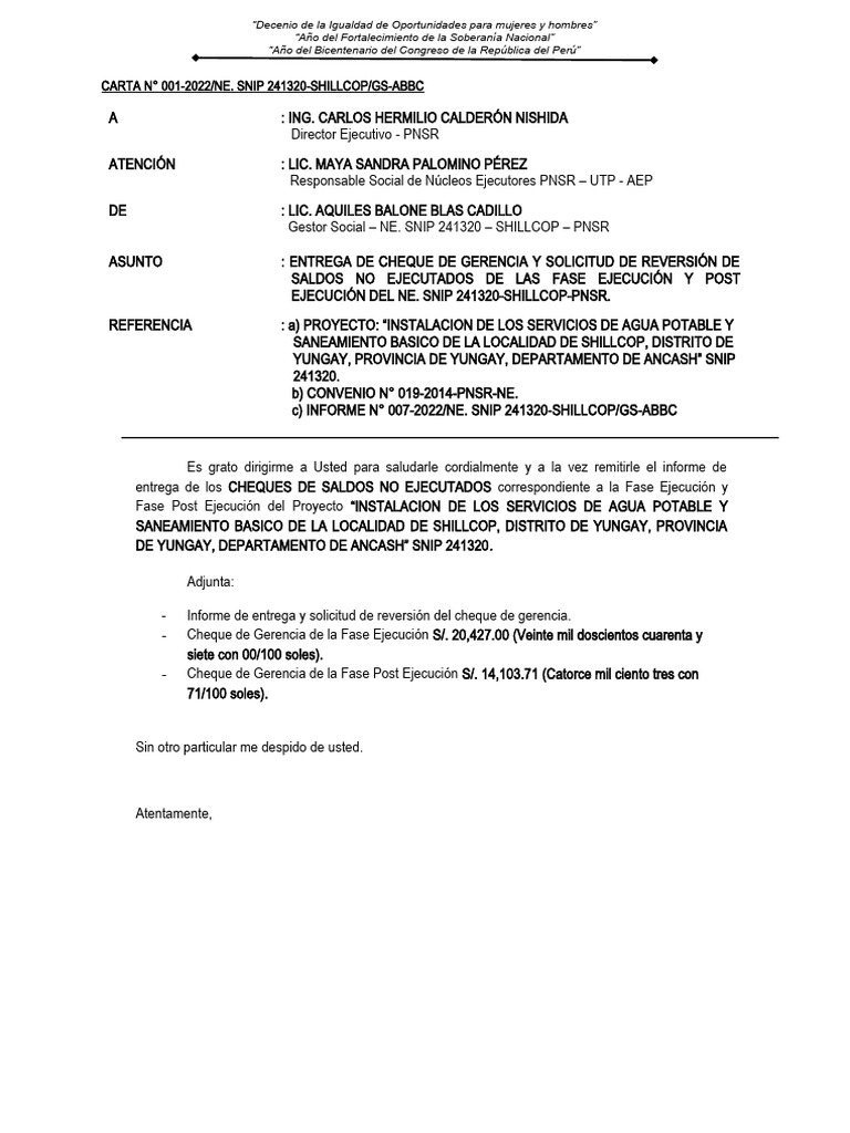 Informe de Devolucion de Saldos | PDF