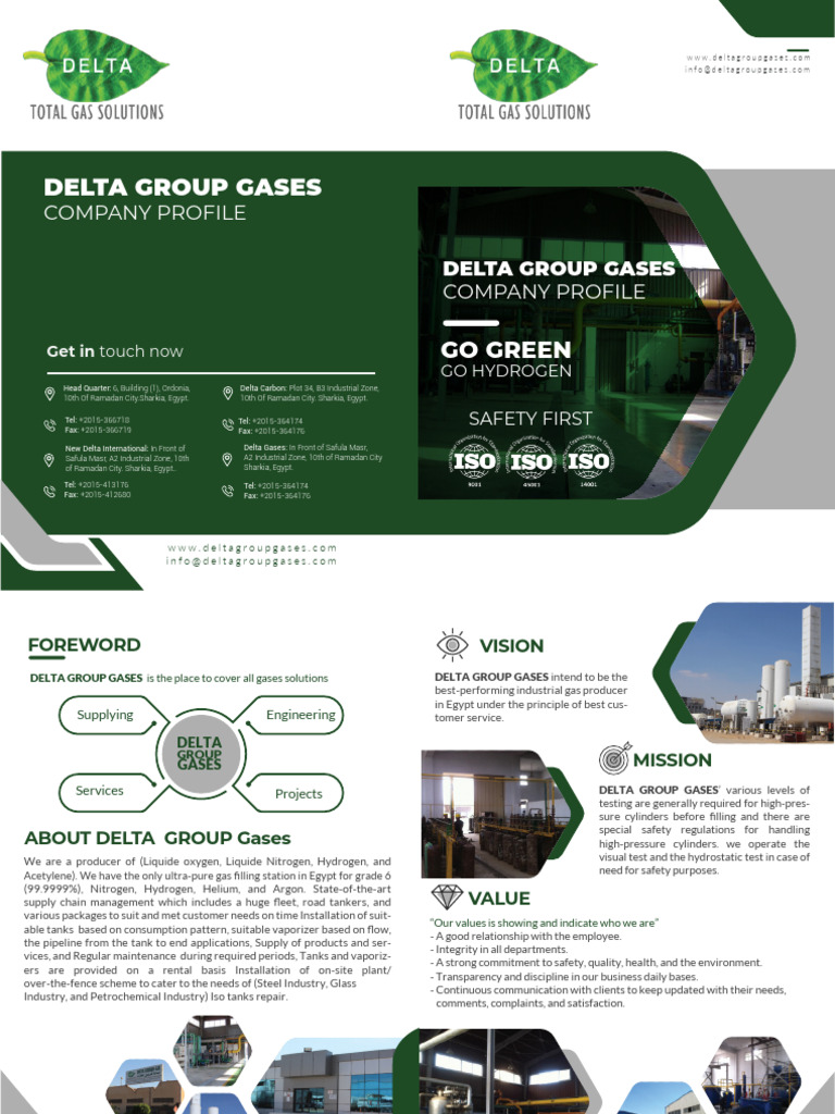 Delta Company Profile | PDF
