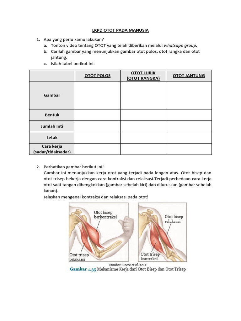 LKPD 2. Otot Pada Manusia | PDF