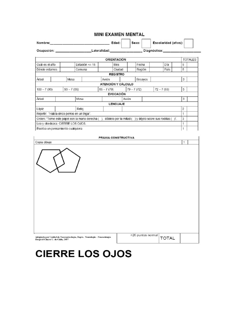Mini Mental | PDF