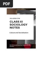Chapter 1 Notes Sociology - 11th | PDF