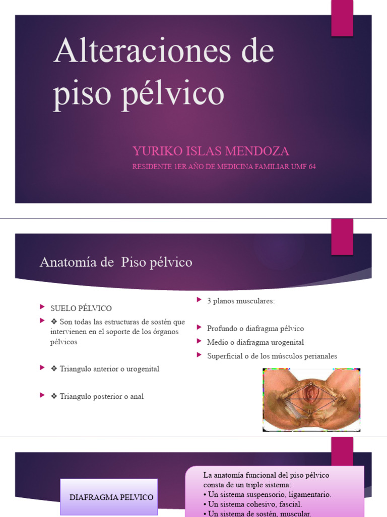 Incontinencia y Prolapso Pélvico | PDF | Pelvis | Especialidades Medicas