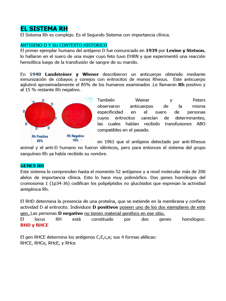 Sistema Rh: Antígenos y Genética | PDF | Biología | Bioquímica