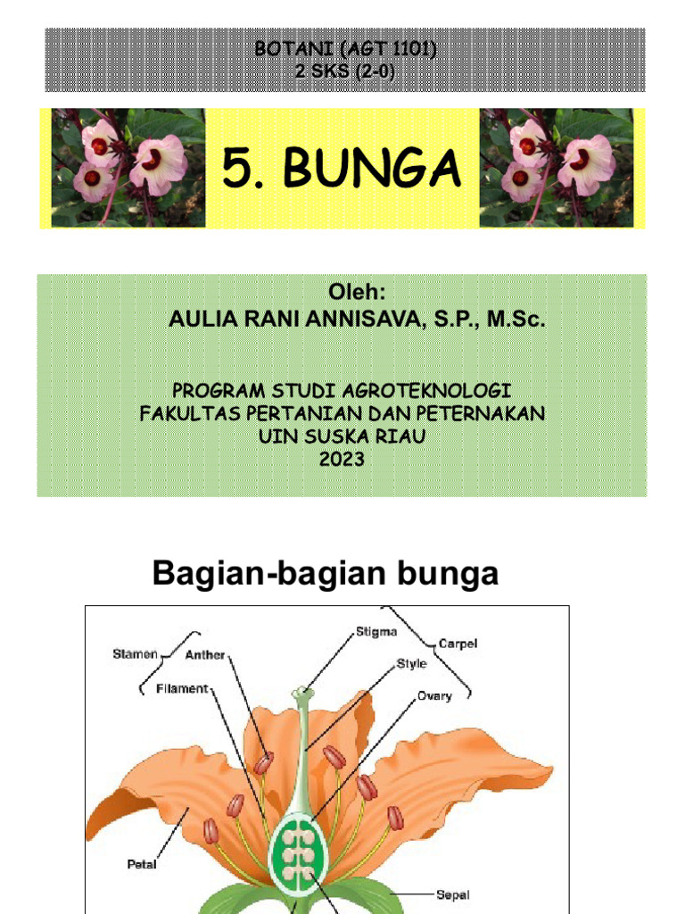Morfologi Bunga | PDF