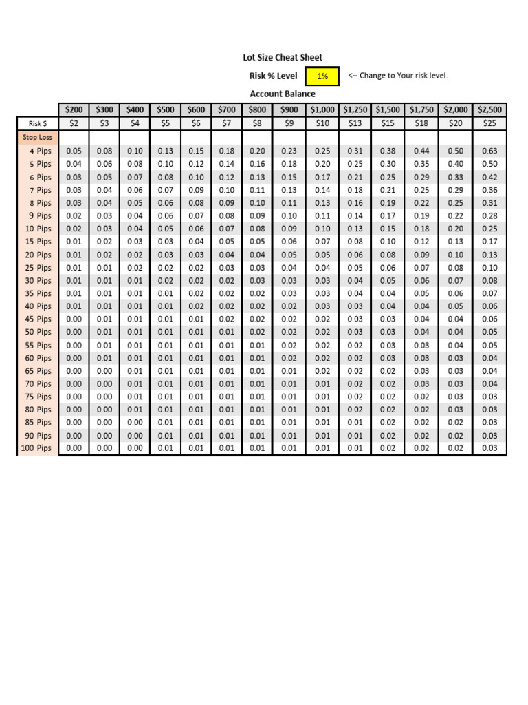 Lot Size and Risk Management Chart | PDF