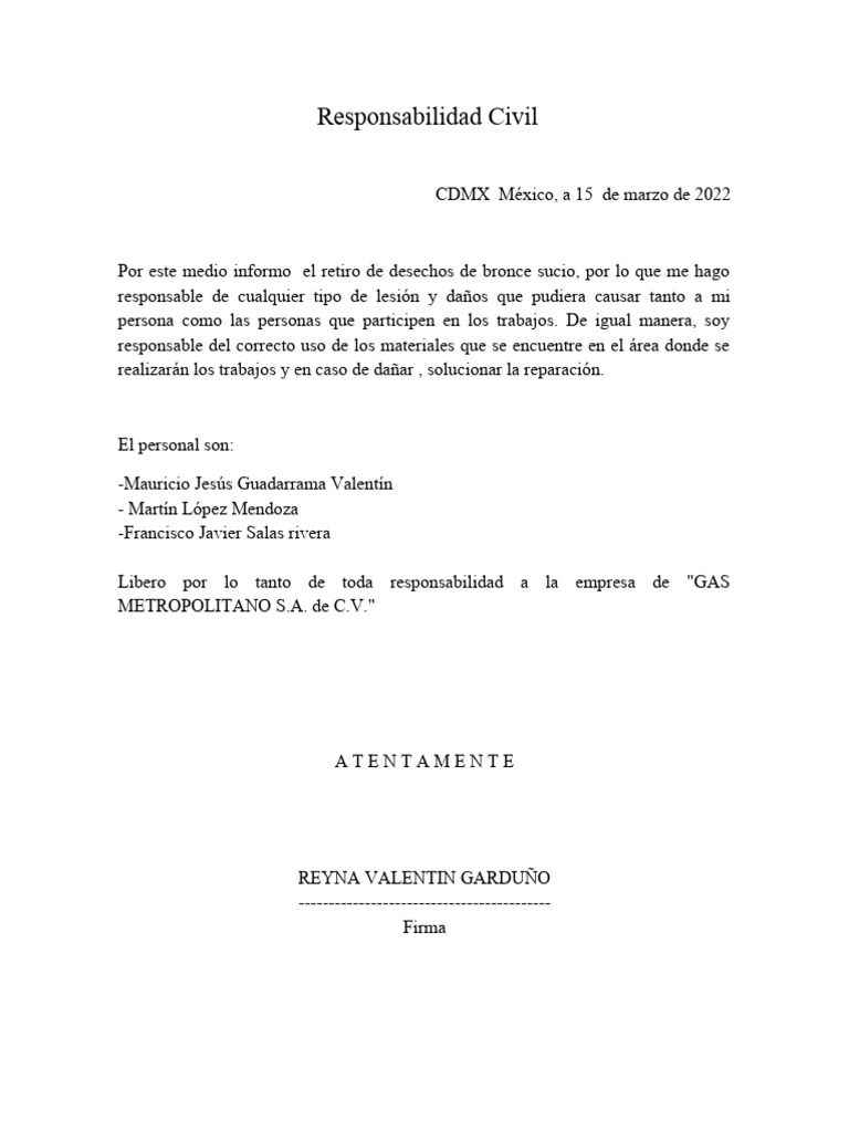 Carta de Responsabilidad Civil PROVEEDOR | PDF