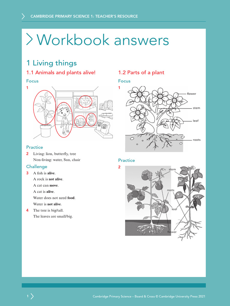 Science - 1 - WB Ans | PDF | Earth | Plants