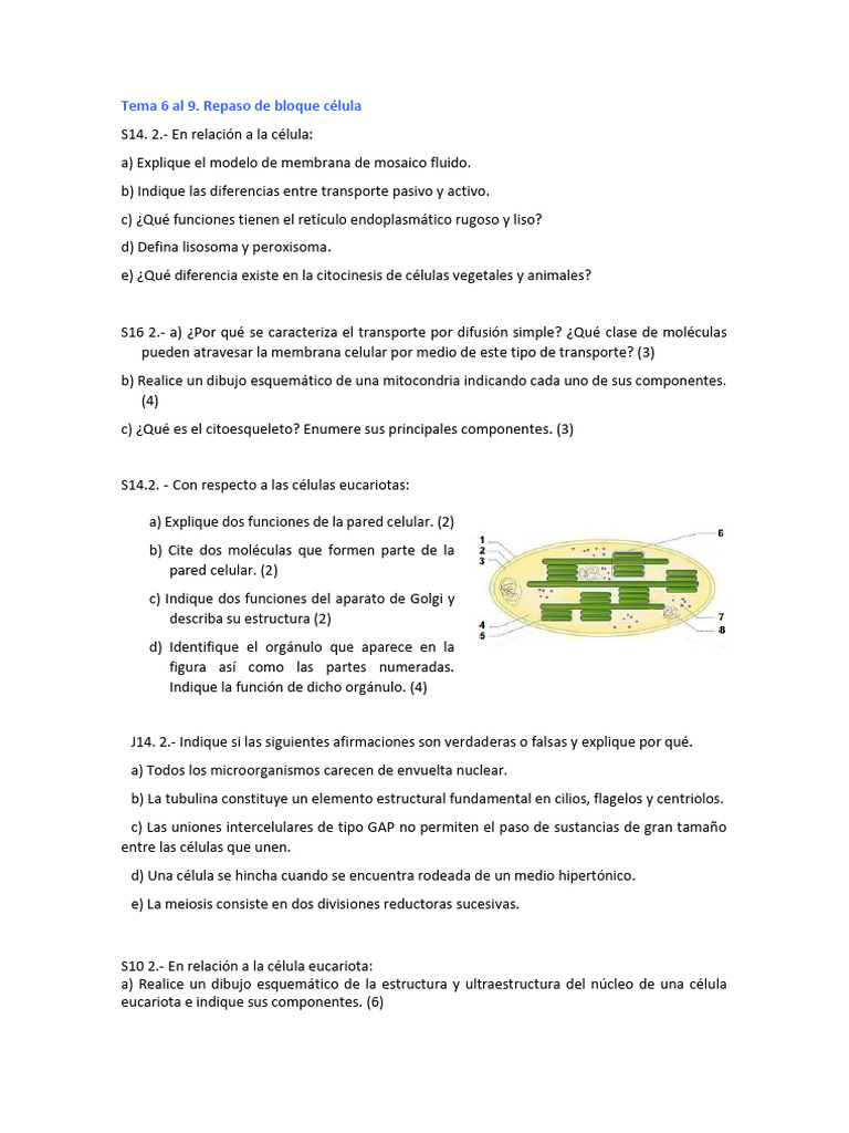 Tema 8B Al 11B. Repaso Célula | PDF | Biología Celular) | Eucariotas