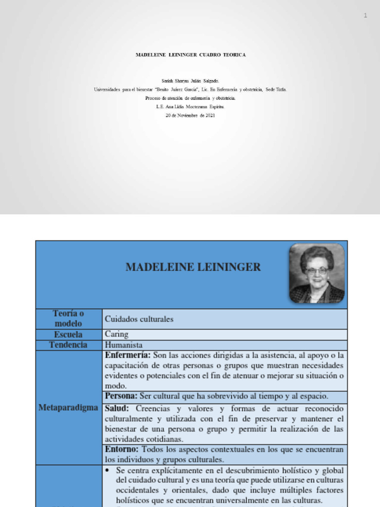 Cuadro Madeleine Leininger | PDF | Enfermería | Holismo