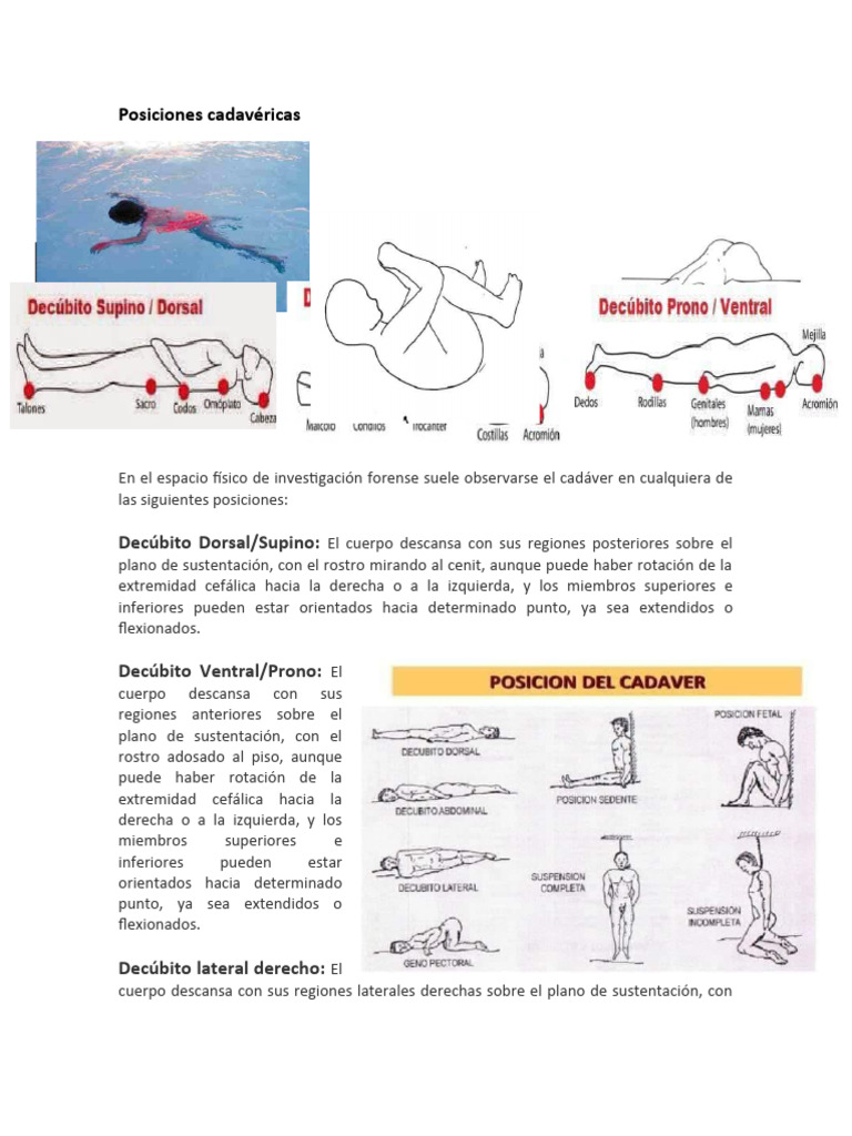 Posiciones Cadavéricas | PDF