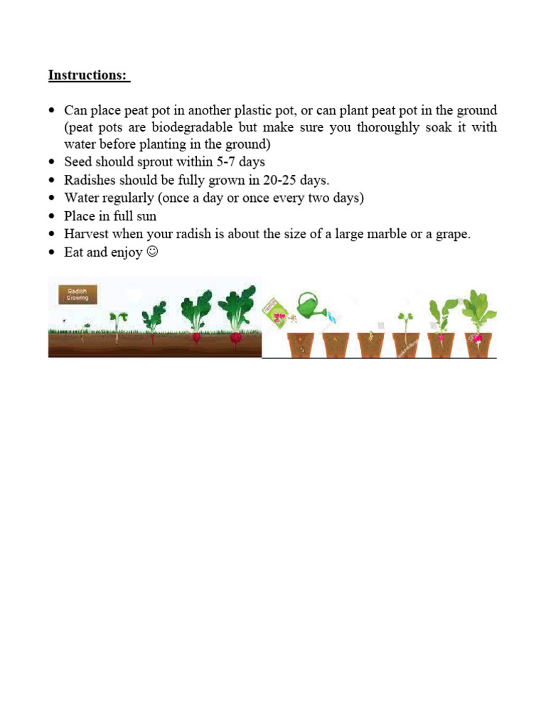 Instructions RADISH LESSON | PDF