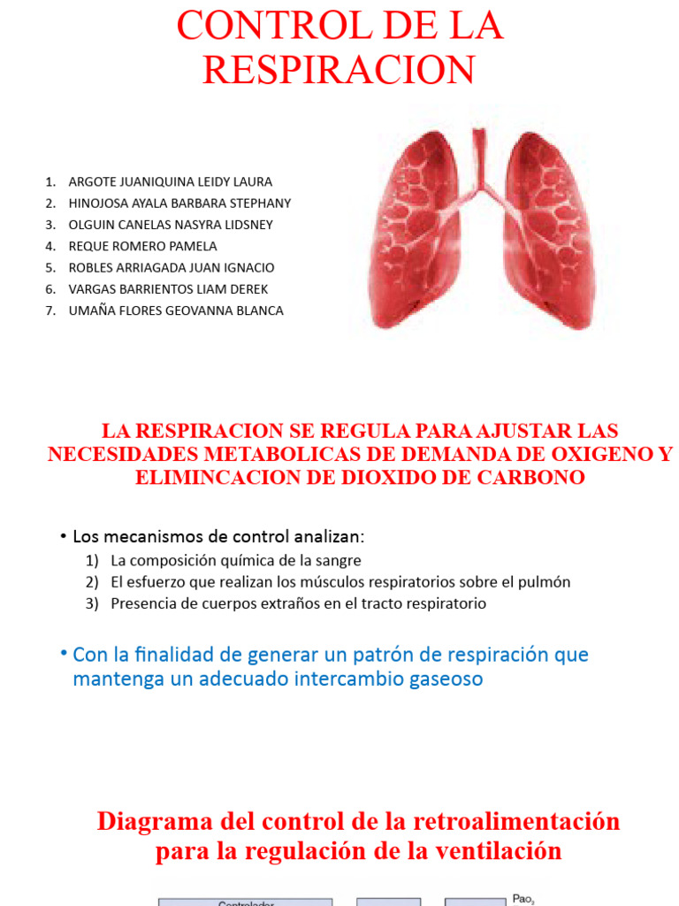 Control de La Respiracion Fisiologia Especial II (1) (2) | PDF ...