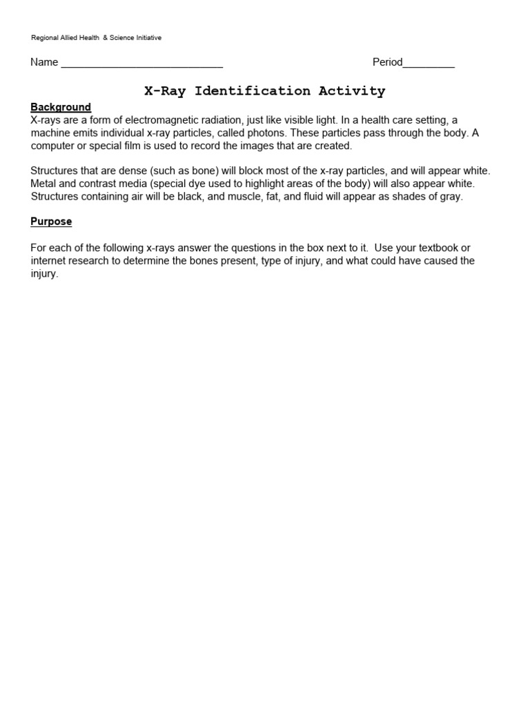 HANDOUT - X-Ray Identification | PDF | Bone | Pelvis