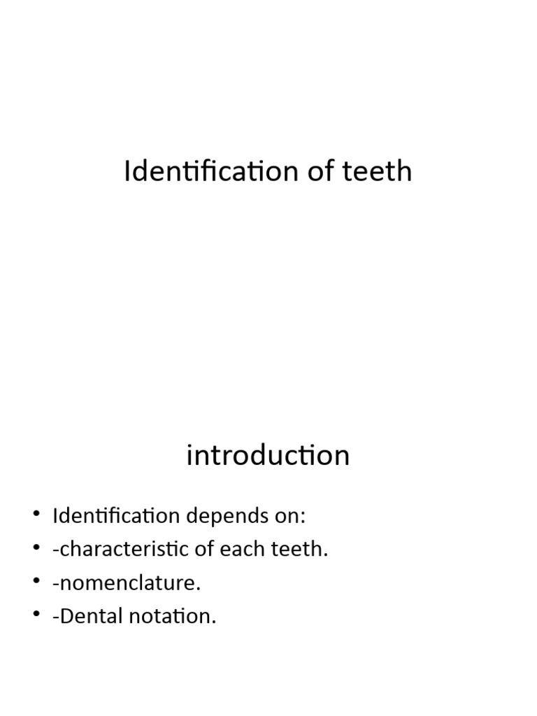Identification of Teeth | PDF