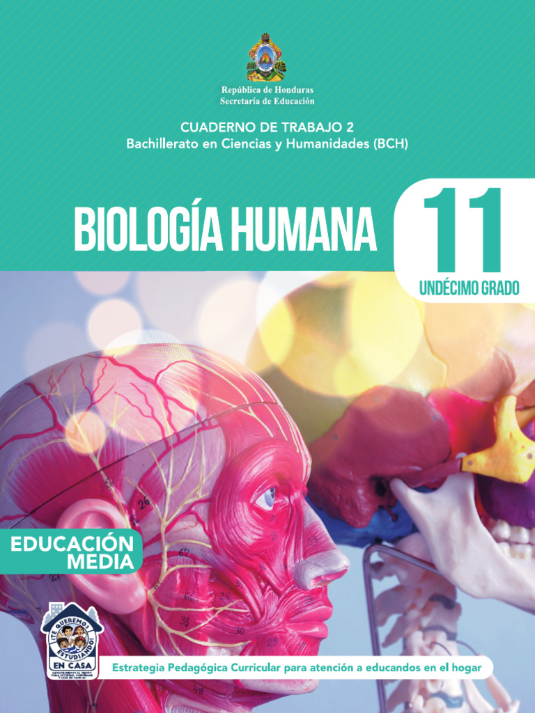 BiologiaHumana 11mo CT2 SEDUC Telebásica | Descargar gratis PDF | Sistema inmune | Antígeno