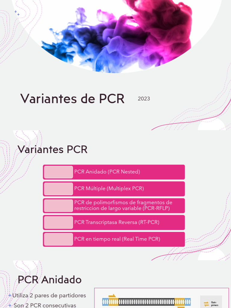 Tipos de PCR: Métodos y Aplicaciones | PDF