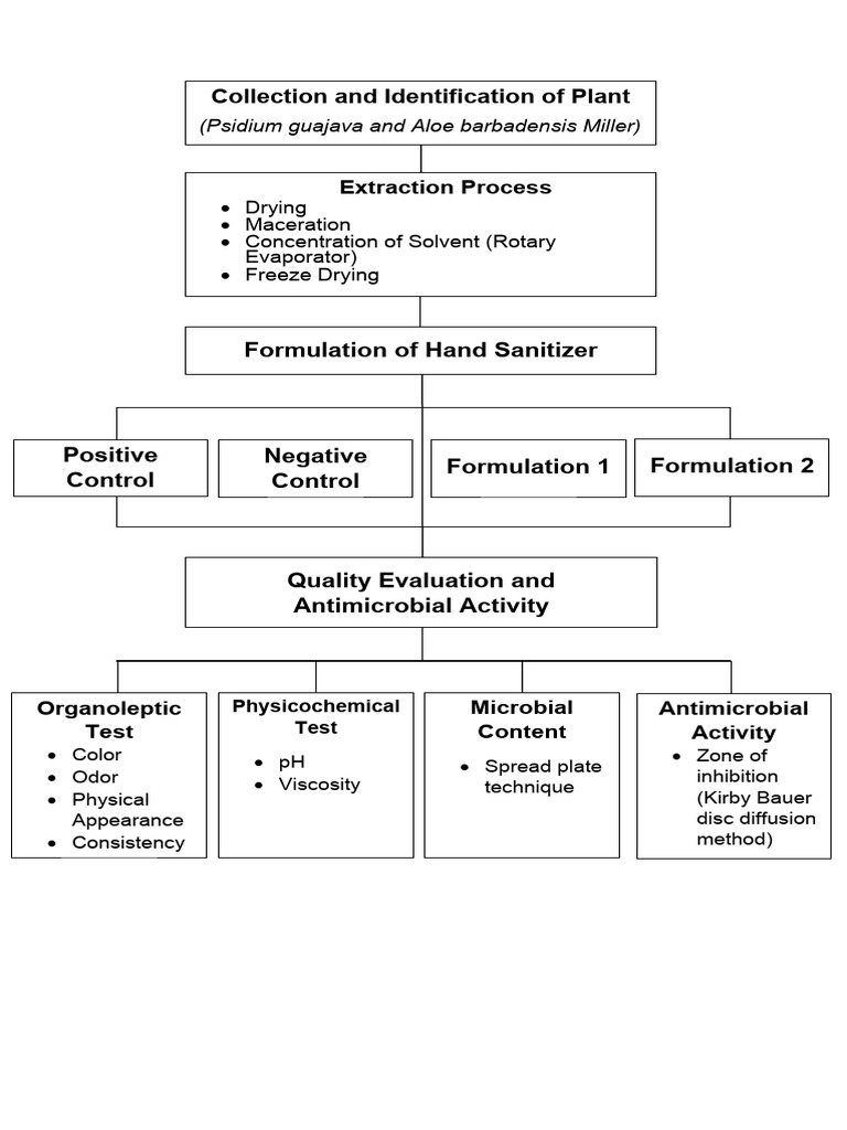 Process Flow | PDF