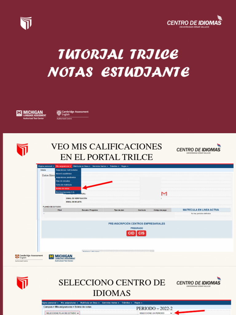 Tutorial para Ver Las Notas en Trilce | PDF