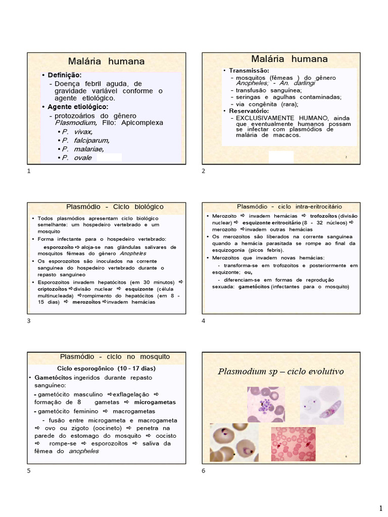 Malaria Slide | PDF