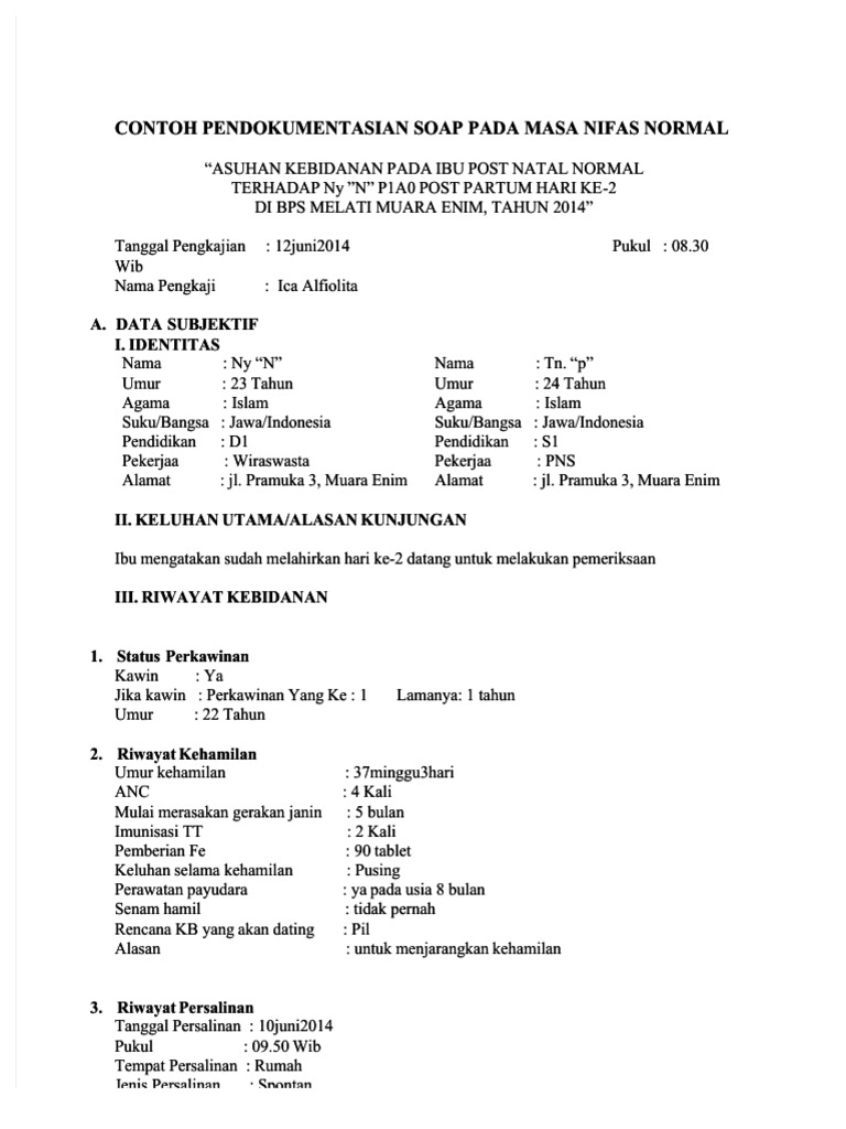 PDF Contoh Pendokumentasian Soap Pada Masa Nifas Normal - Compress | PDF