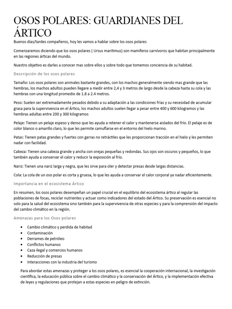 Osos Polares | PDF | Oso polar | Osos