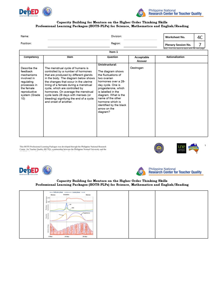 HOTS-PLP for Grade 4C Mentors | PDF