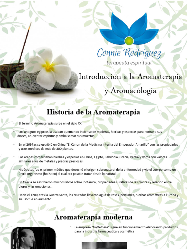 Historia y Usos de la Aromaterapia | PDF | Cocina, comidas y vino ...