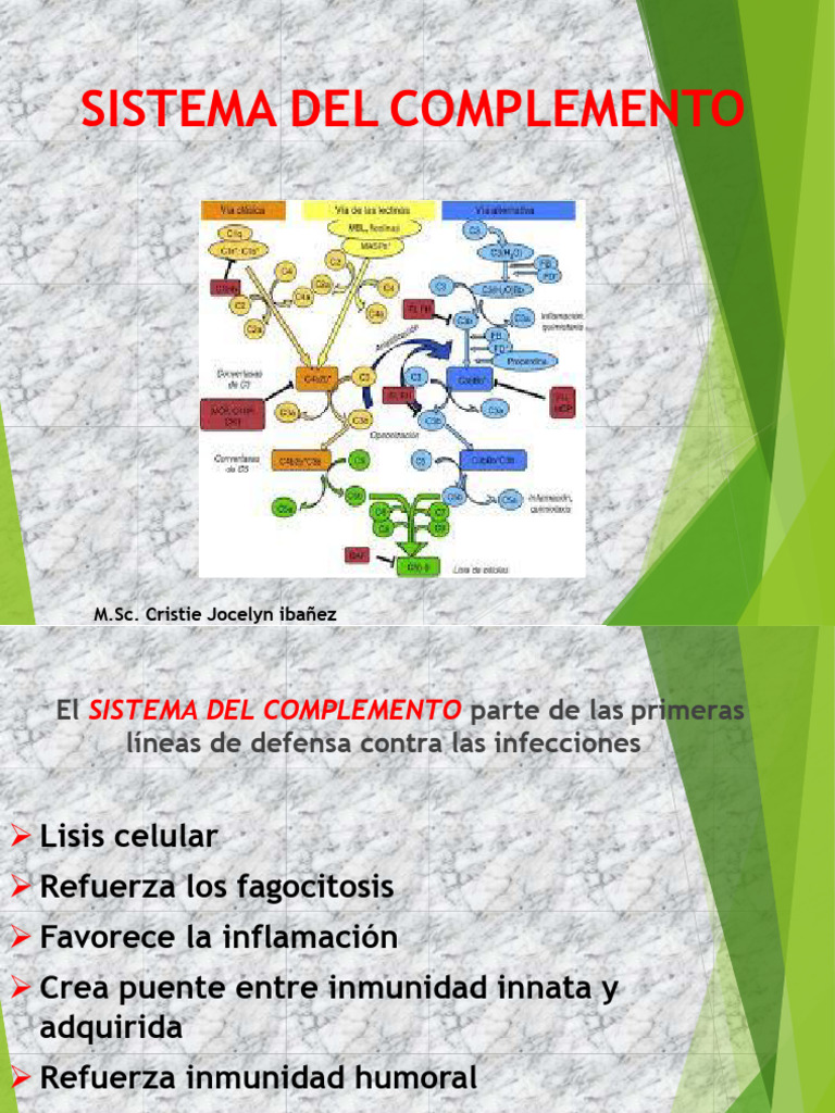 5 Sistema Complemento | PDF | Sistema complementario | Especialidades Medicas