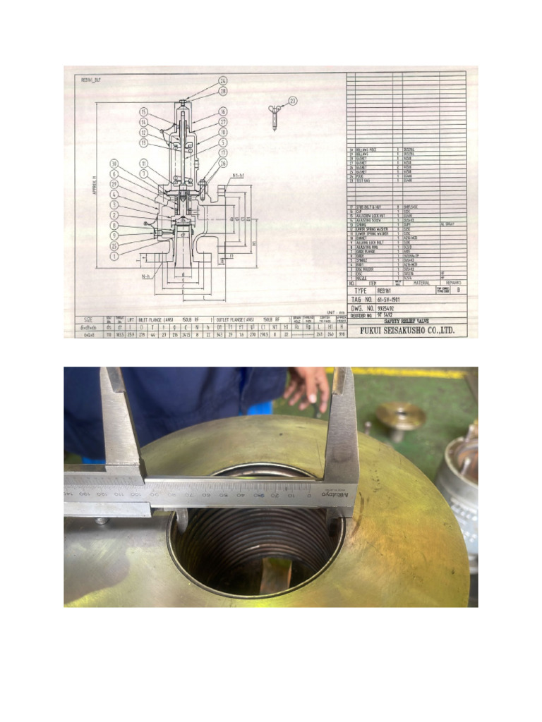 Bellows For PSV 1901 | PDF