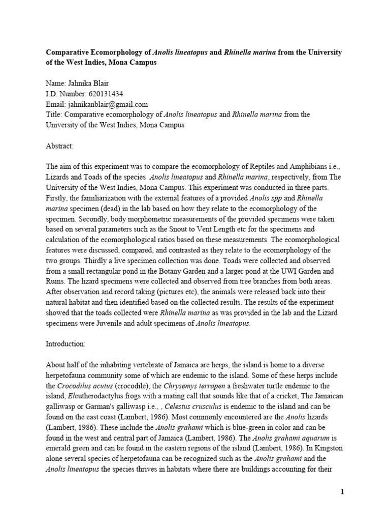 Practical 3 - Lab Report Template | PDF