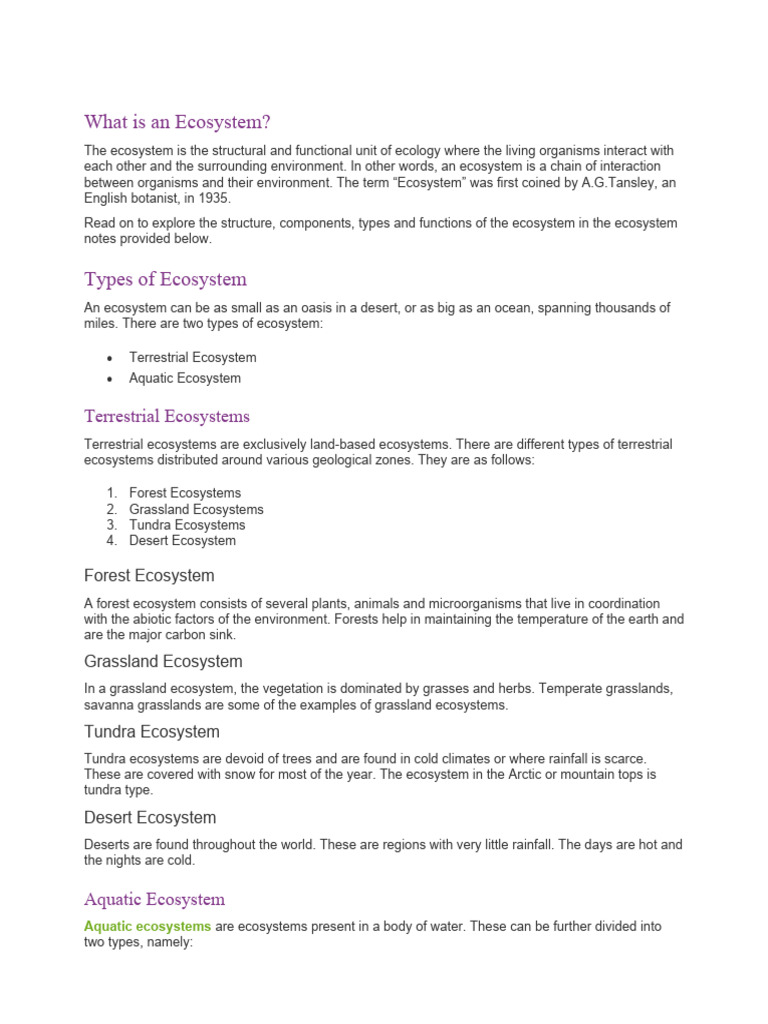 What Is An Ecosystem | PDF | Ecosystem | Grassland