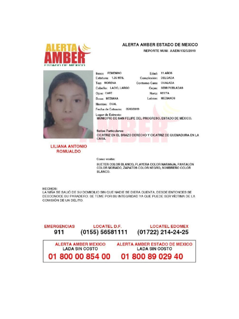 Alerta Amber | PDF