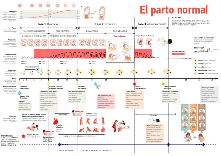 Infografia Del Parto Normal | PDF | Parto | Especialidades Medicas