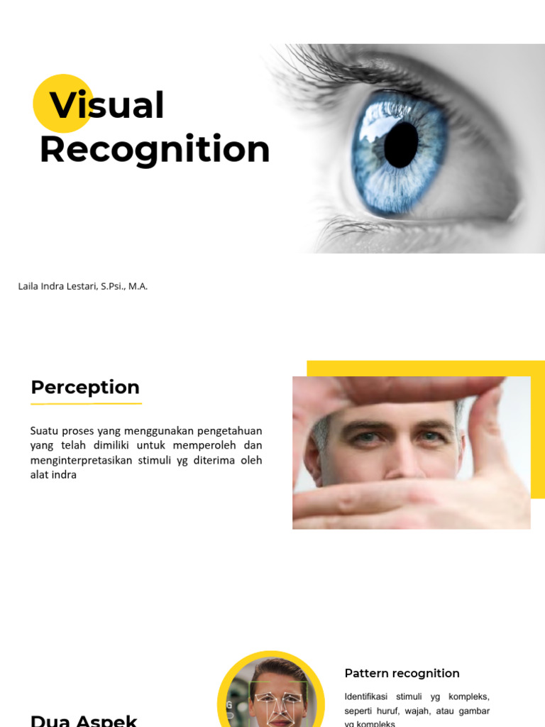 Visual Recognition | PDF